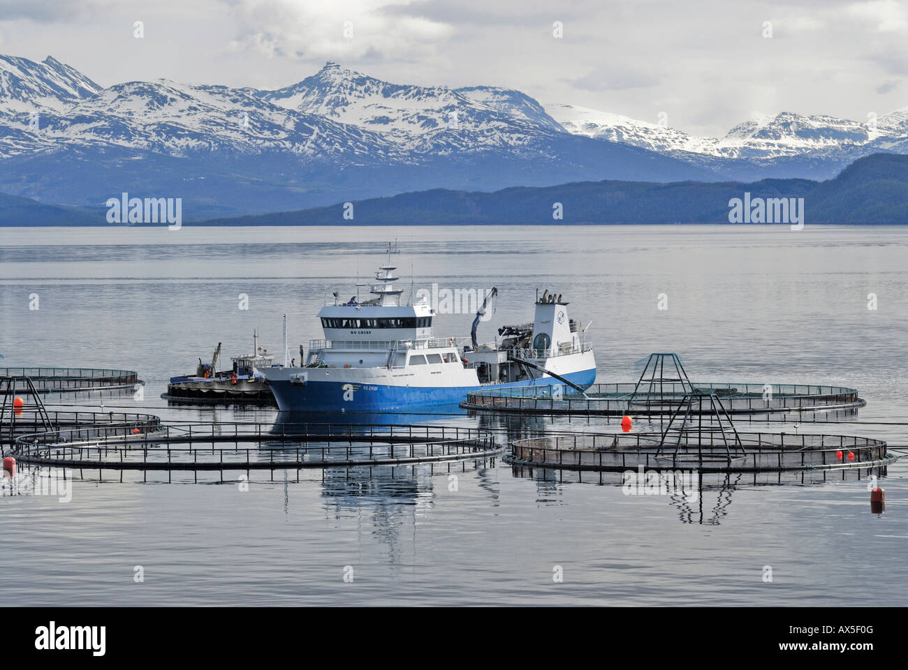 Aqua Farm High Resolution Stock Photography and Images - Alamy