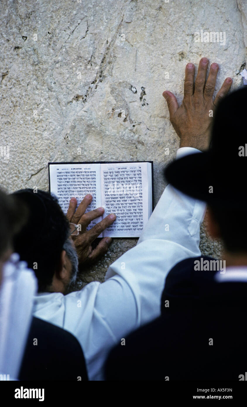 Prayer and reciting from the Torah, Wailing Wall, Jerusalem, Israel ...