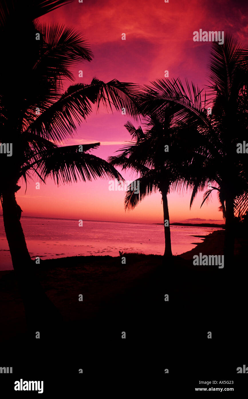 Perfect Sunset with Palms on Beach Coral Coast in the Fiji Islands ...