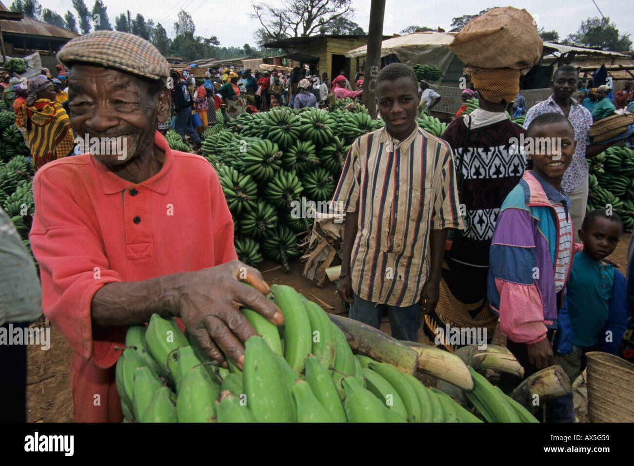 Farmer selling bunches of cooking bananas, Mwika, Kilimanjaro Region ...