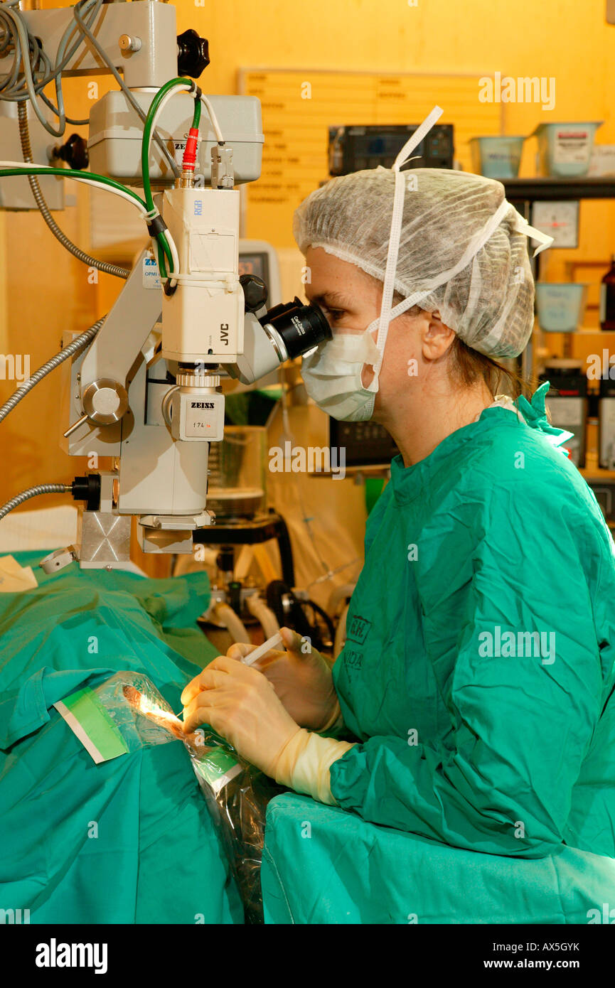 Katarakt operation hi-res stock photography and images - Alamy