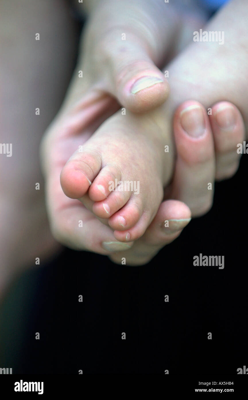 hand holding baby foot Stock Photo - Alamy