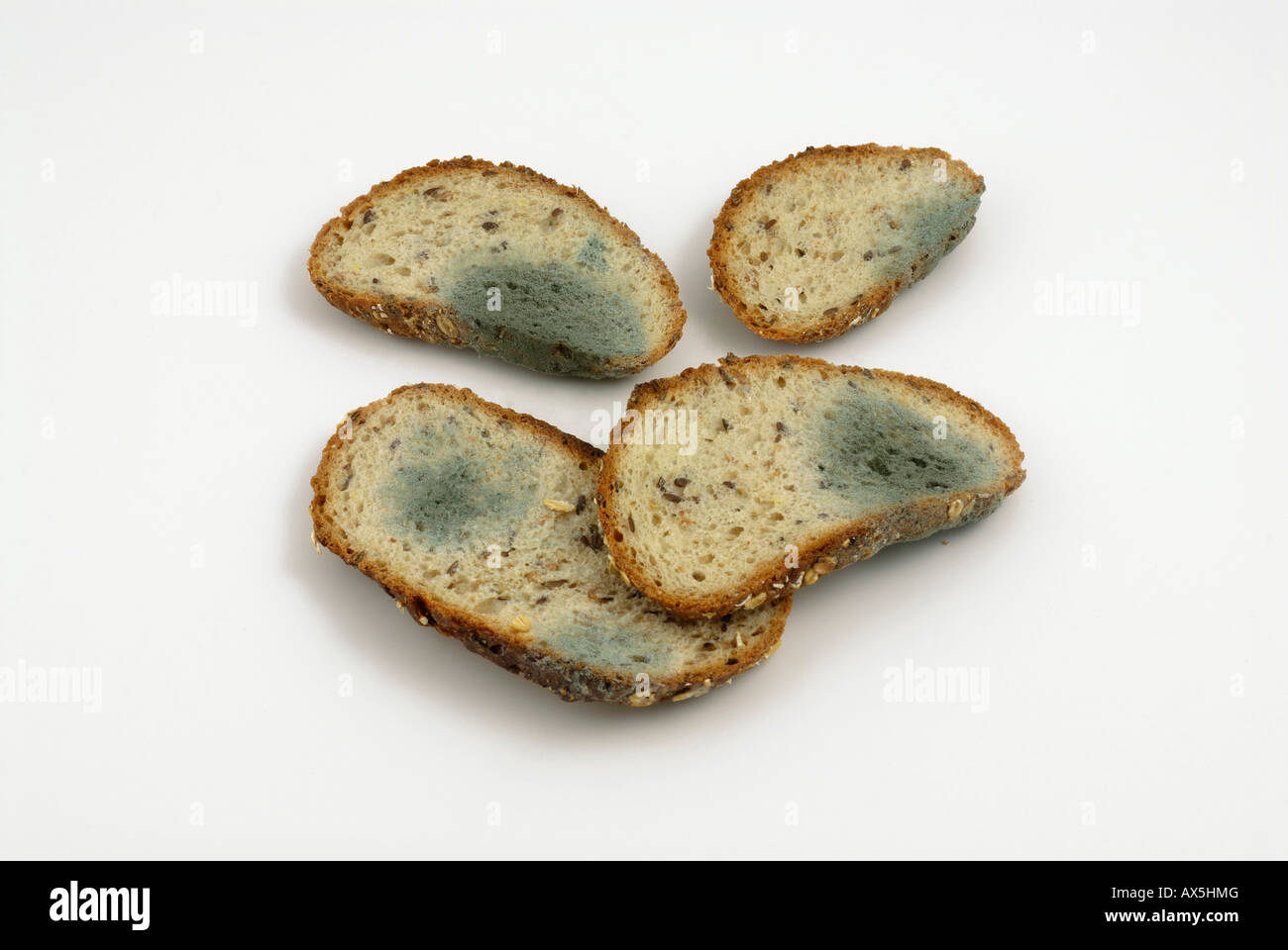 Moldy bread hi-res stock photography and images - Alamy