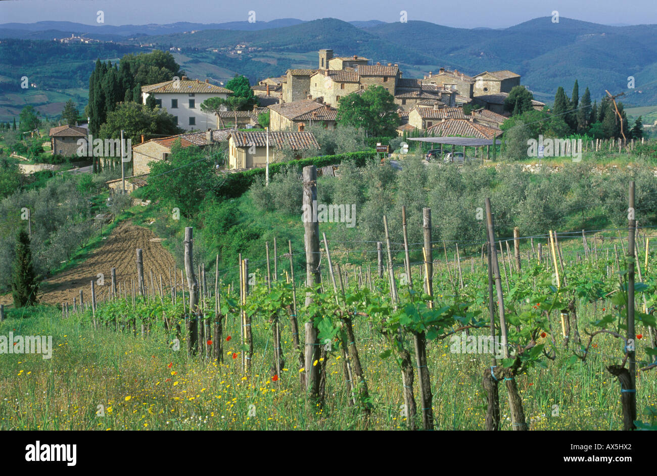 Volpaia hi-res stock photography and images - Alamy