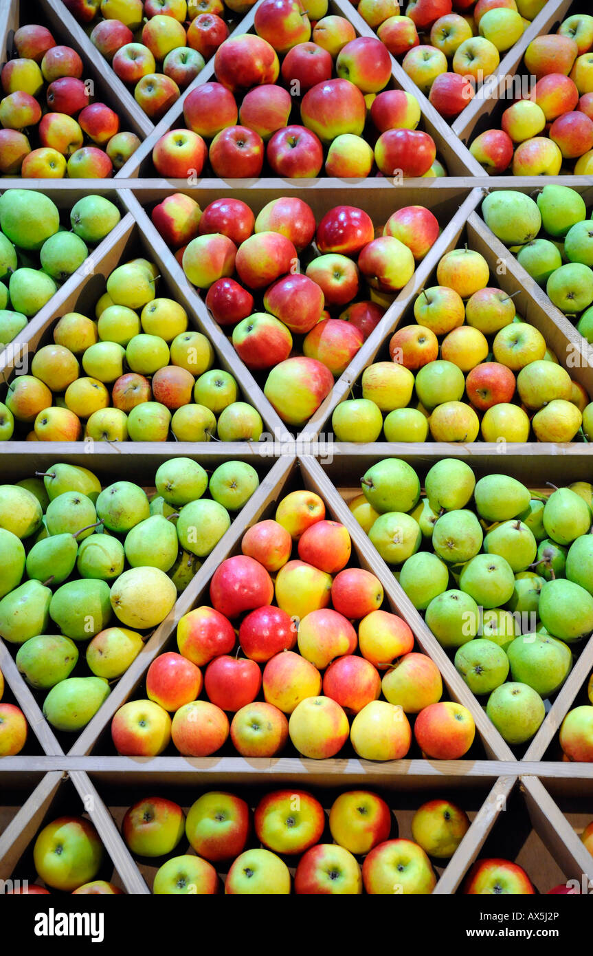 Apple varieties hi-res stock photography and images - Alamy