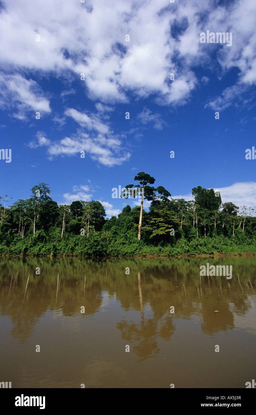 Rio San Juan and tropical forest Nicaragua Stock Photo - Alamy