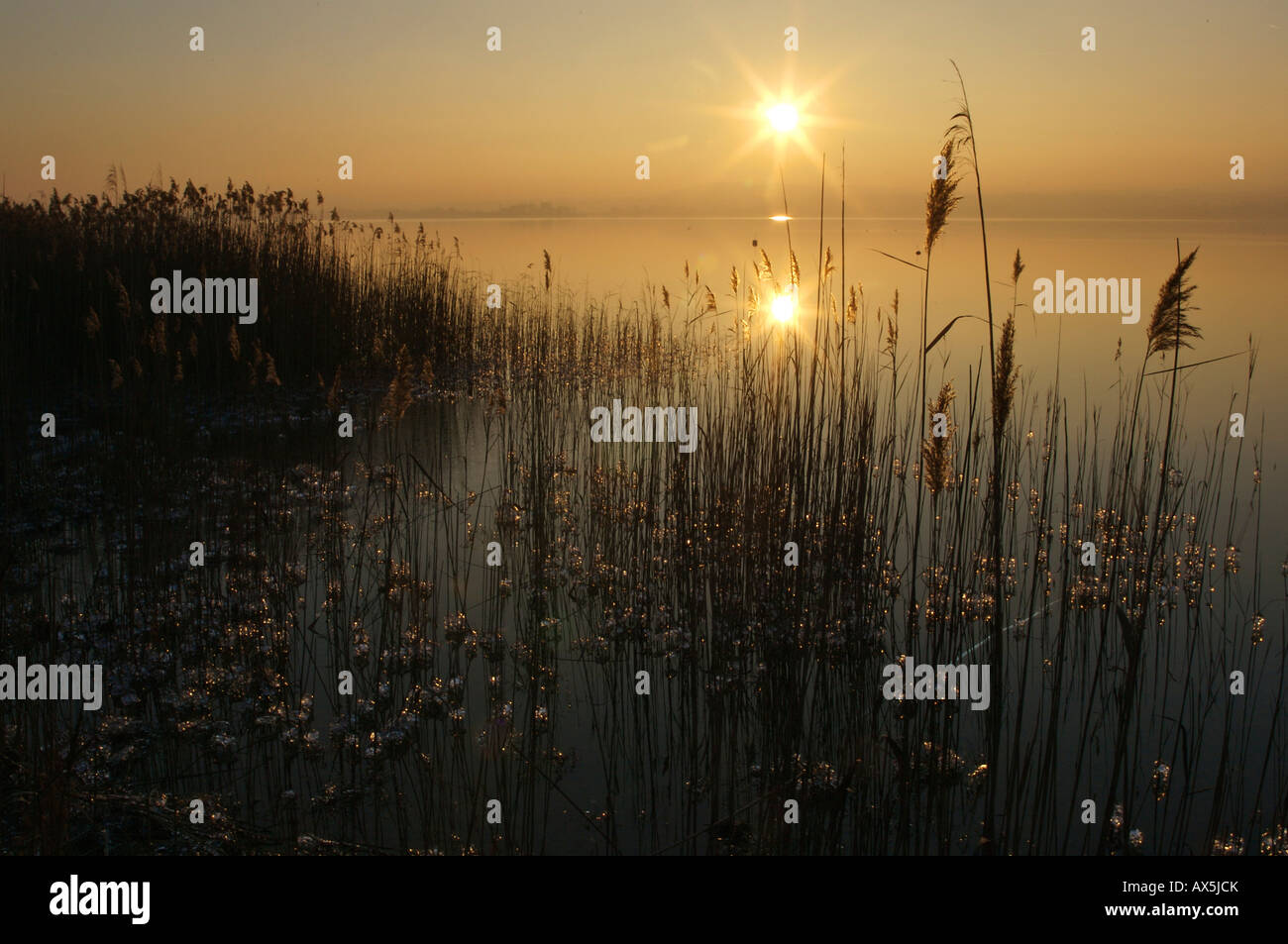 Evening sun reflected on the surface of the Ammersee (Lake Ammer ...