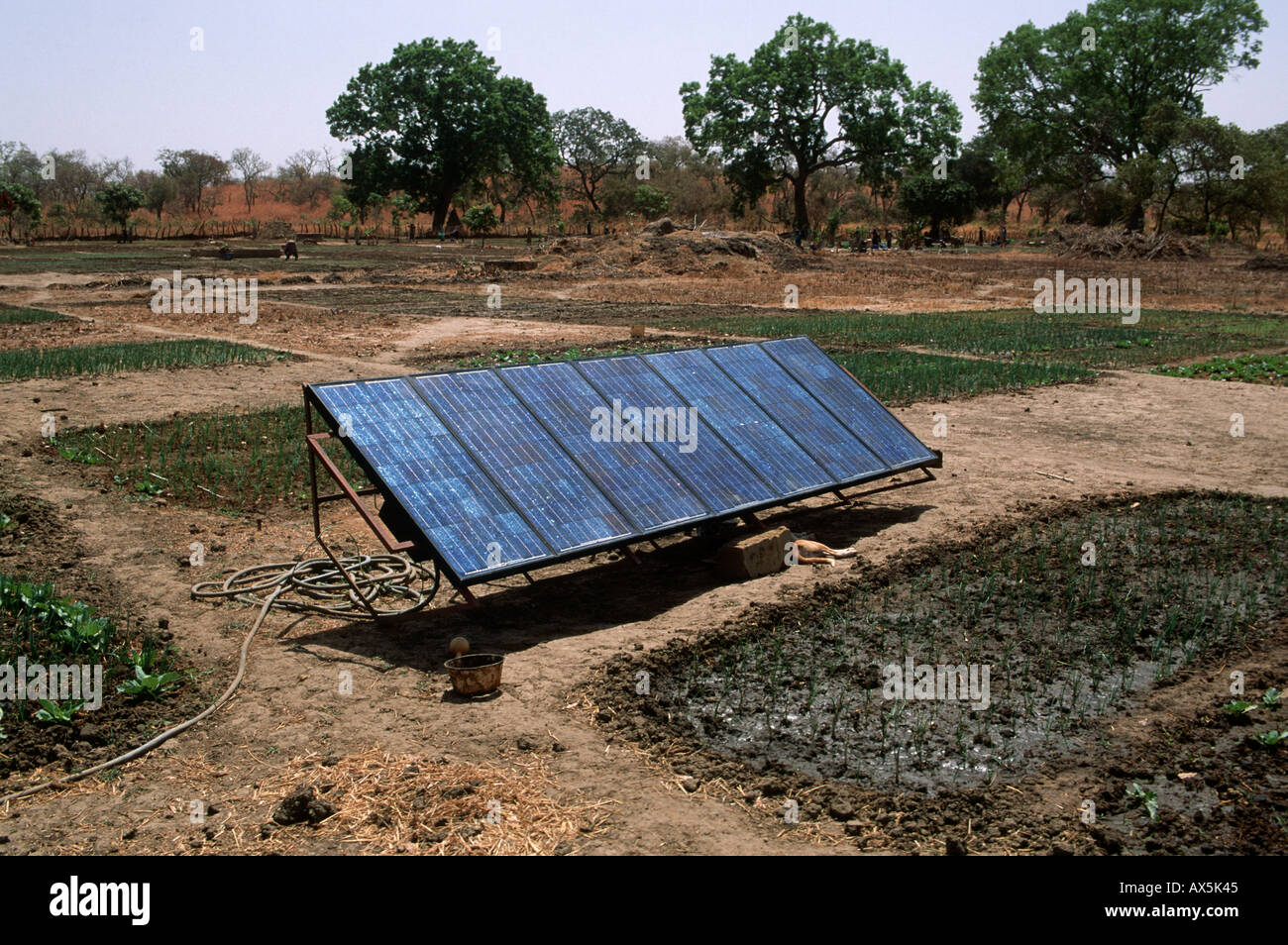 Gambian local people hi-res stock photography and images - Alamy