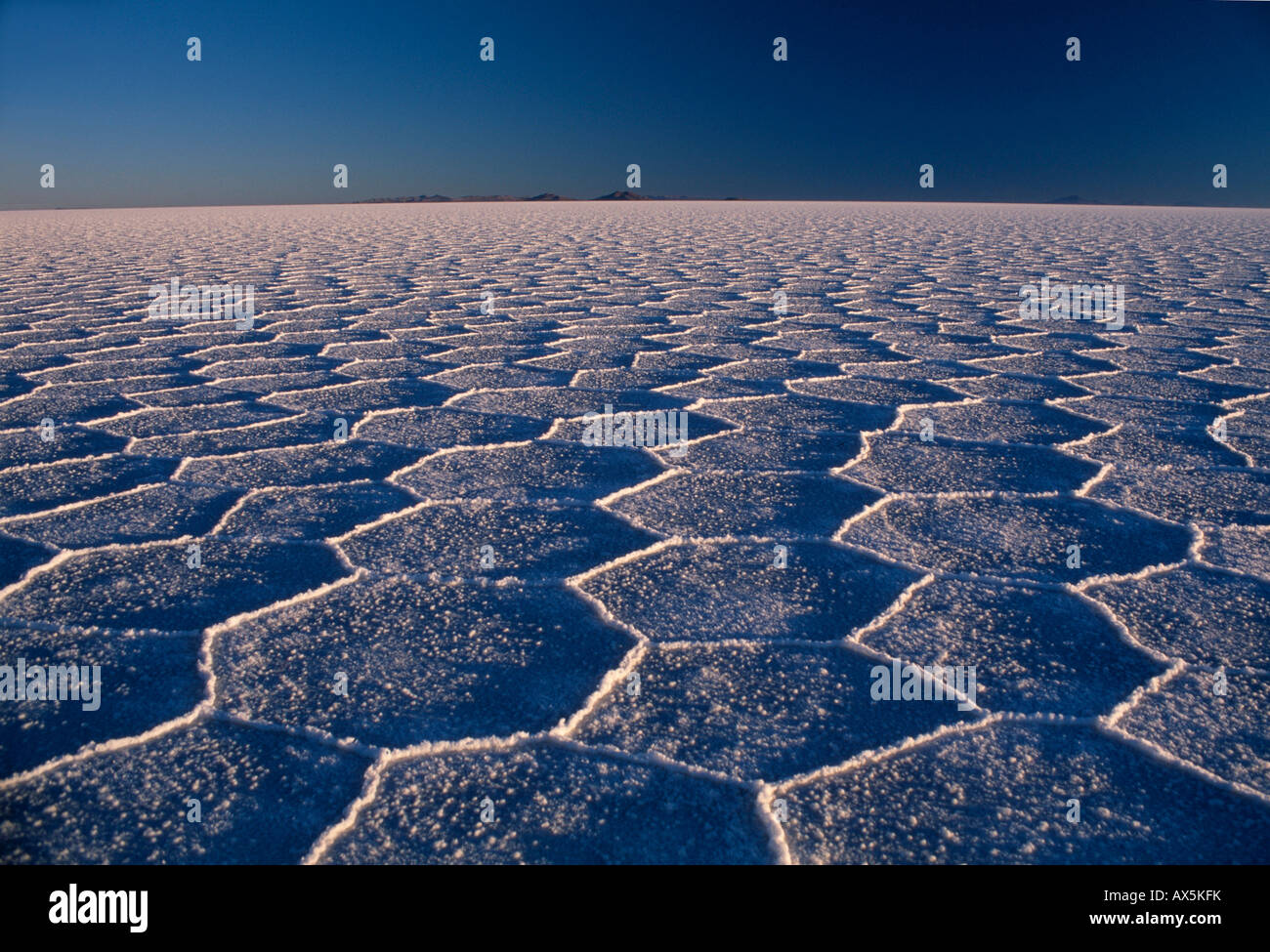 Hexagonal shapes, Salar de Uyuni salt flat, Altiplano, Ptosí Department ...