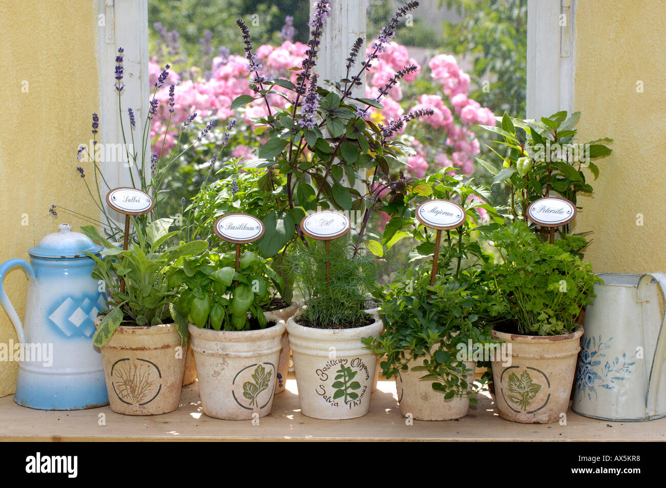 Herbs windowsill hi-res stock photography and images - Alamy