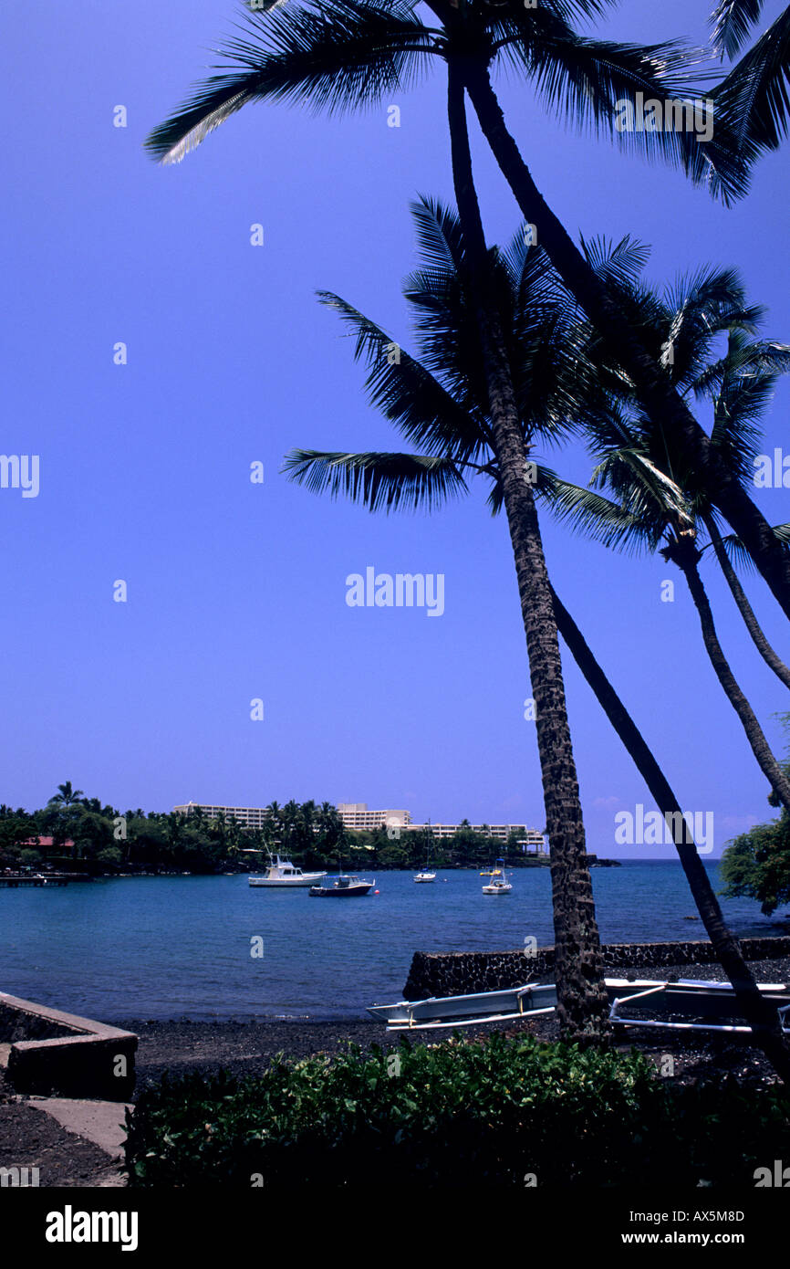 Hiton hi-res stock photography and images - Alamy