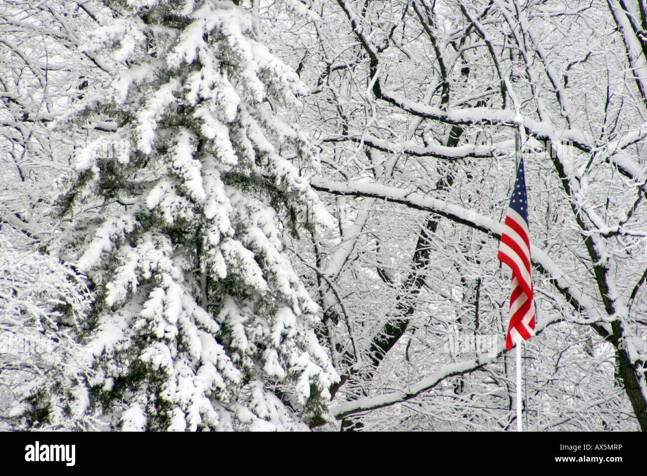 Melting Flag Stock Photos & Melting Flag Stock Images - Alamy