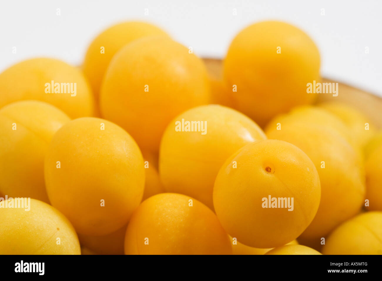 Mirabelle prune prunus domestica hi-res stock photography and images ...