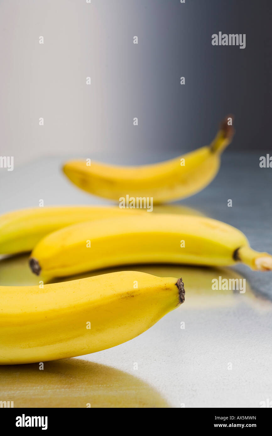 Musa hi-res stock photography and images - Alamy