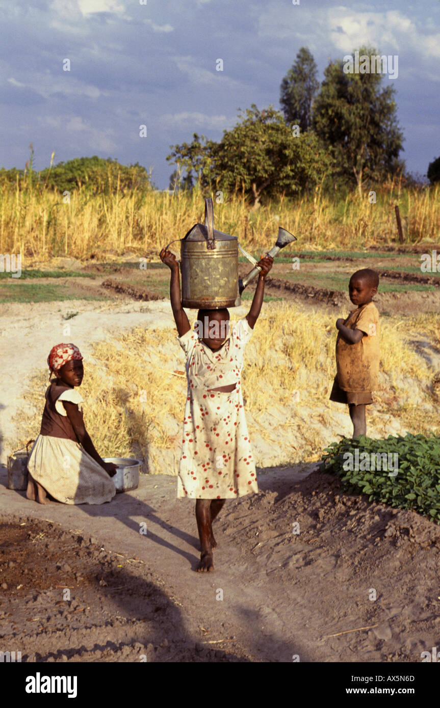 Tembe Village, Tanzania, Africa. Young girl carrying watering can on ...