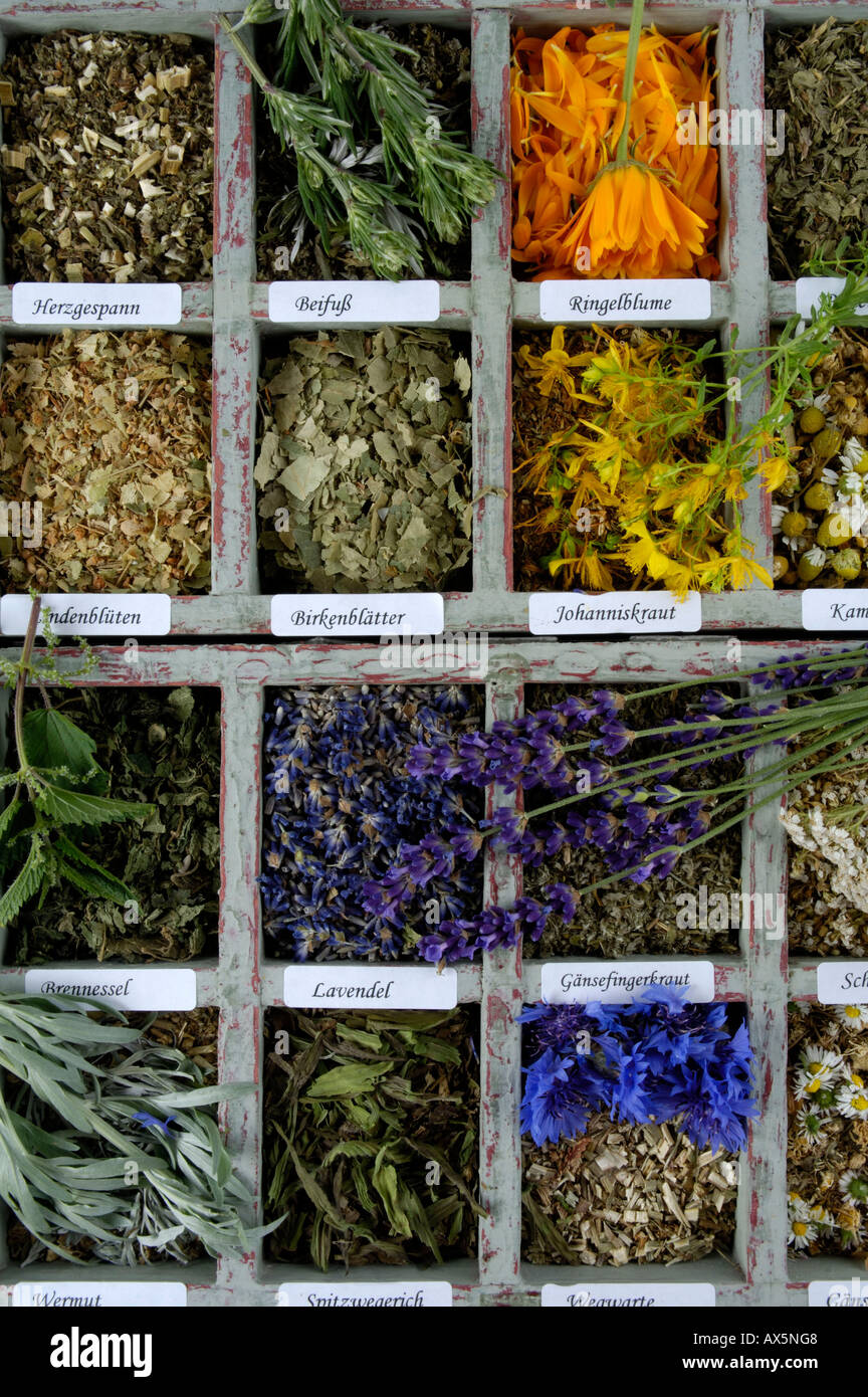 Dried herbs for hi-res stock photography and images - Alamy