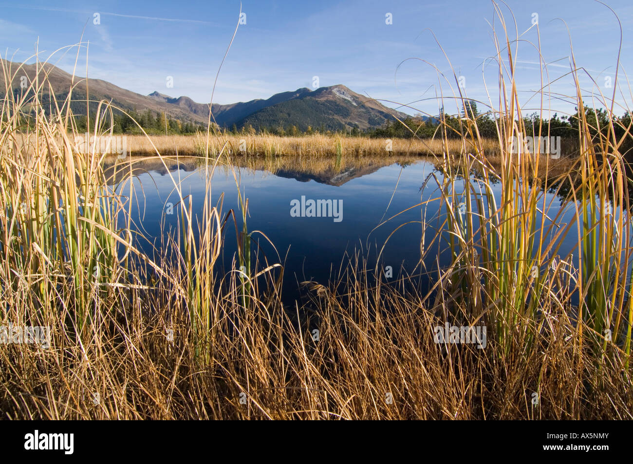 Marshland hi-res stock photography and images - Alamy