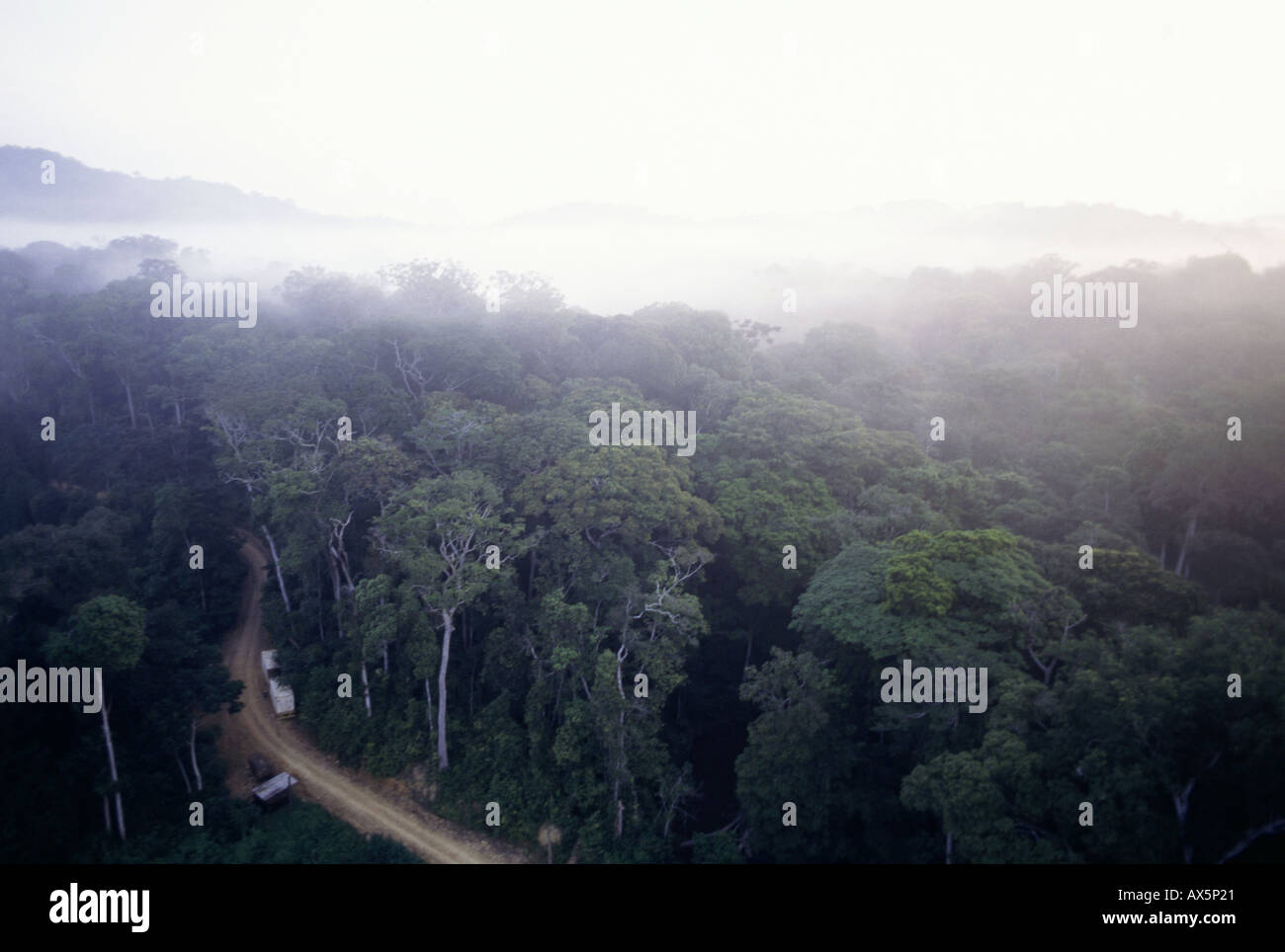 Gabon forest hi-res stock photography and images - Alamy