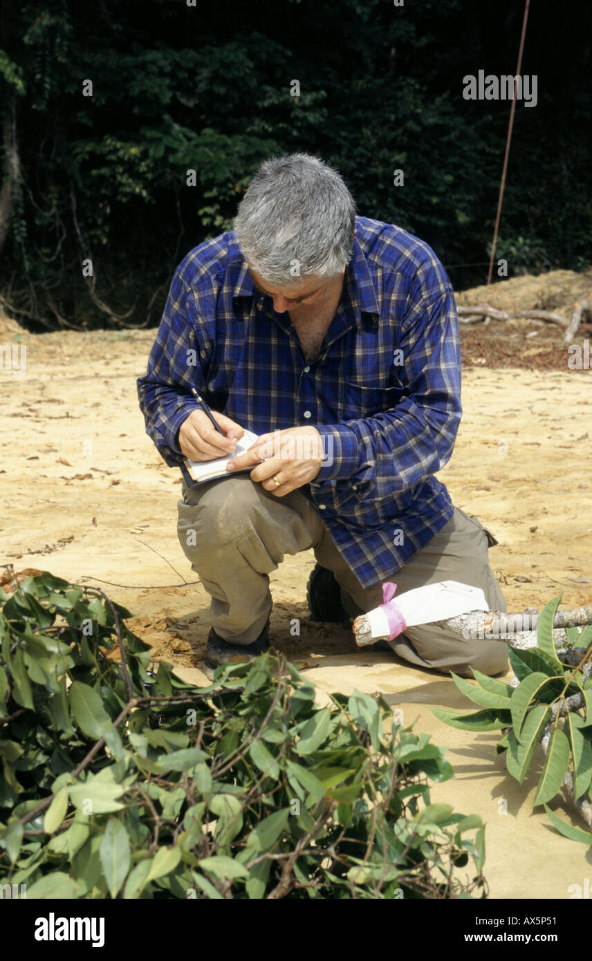 Makande, Gabon. William Grab making notes about fresh specimens of ...