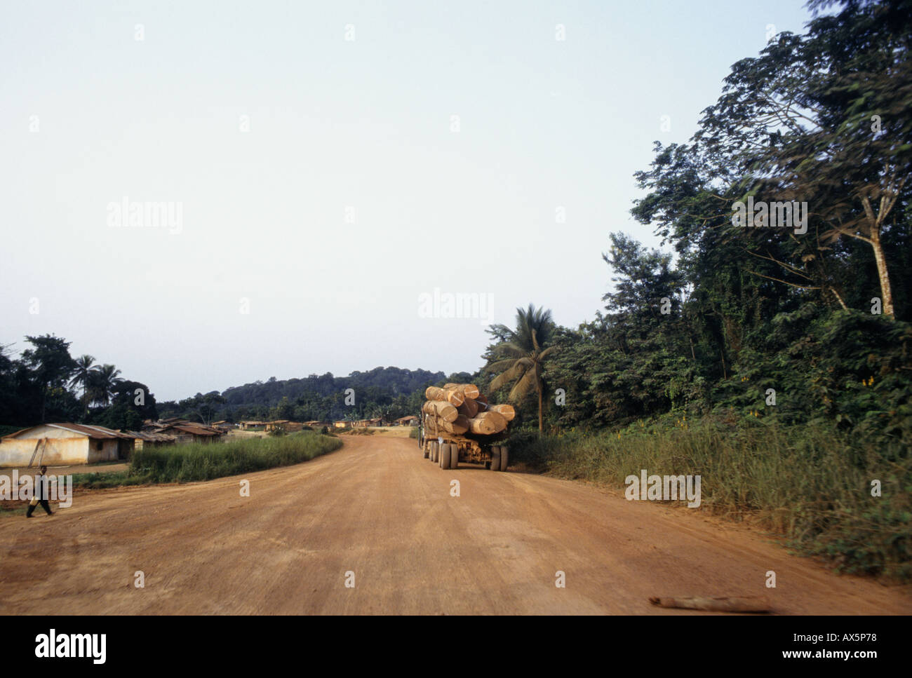 Cutting timber west africa hi-res stock photography and images - Alamy