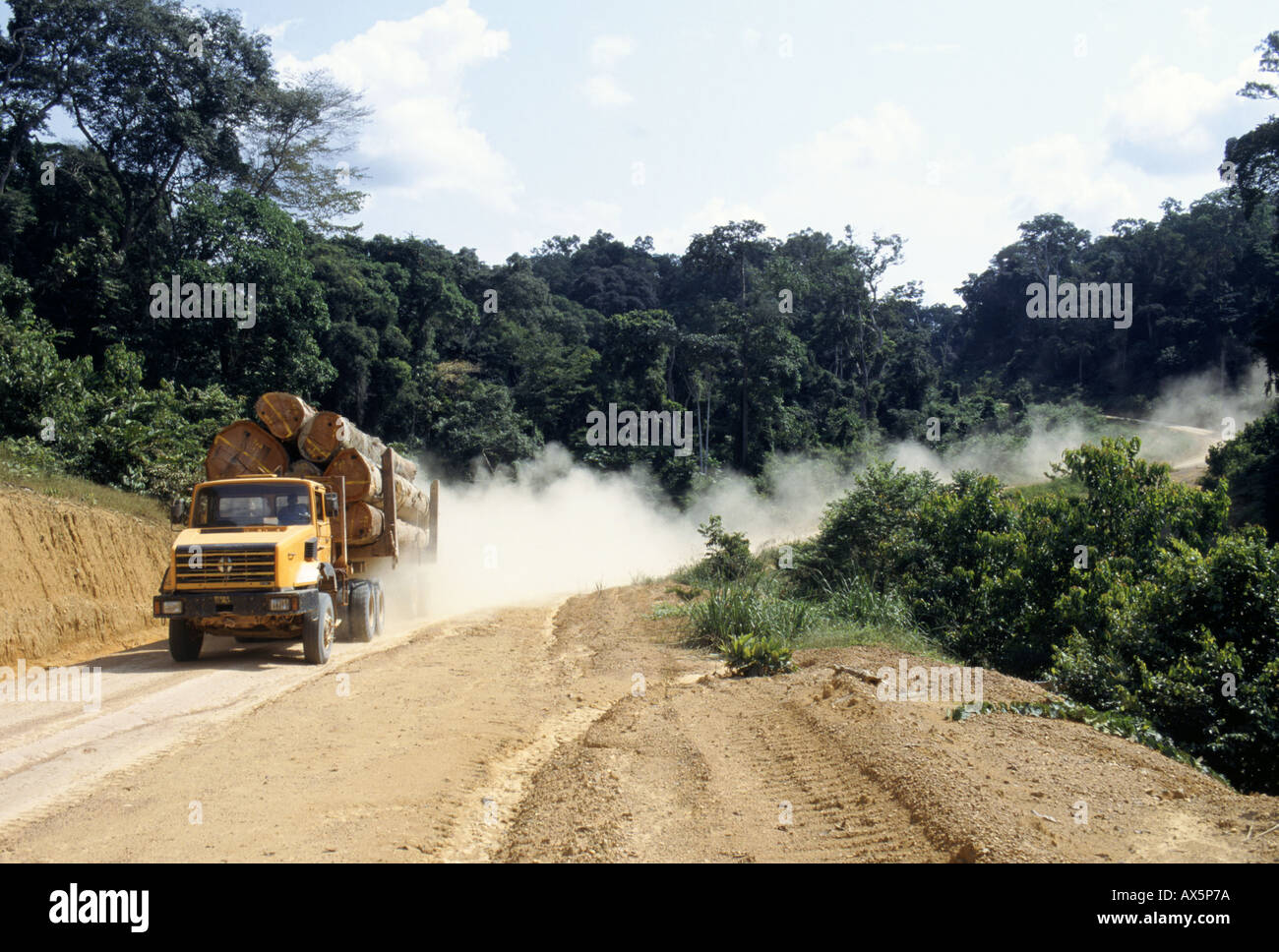 Truck loaded with logs forest tree hi-res stock photography and images ...
