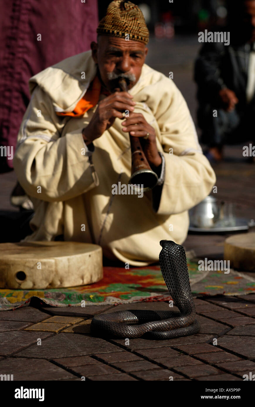 Snake charmer with a black cobra (Naja), Marrakesh, Morocco, North ...
