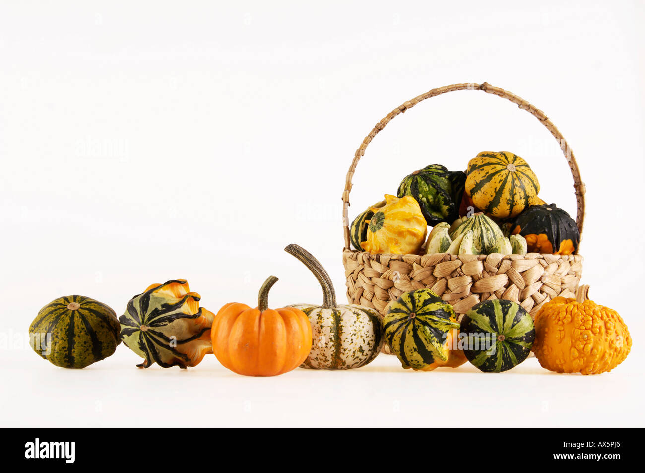 Pumpkin display Cut Out Stock Images & Pictures - Alamy