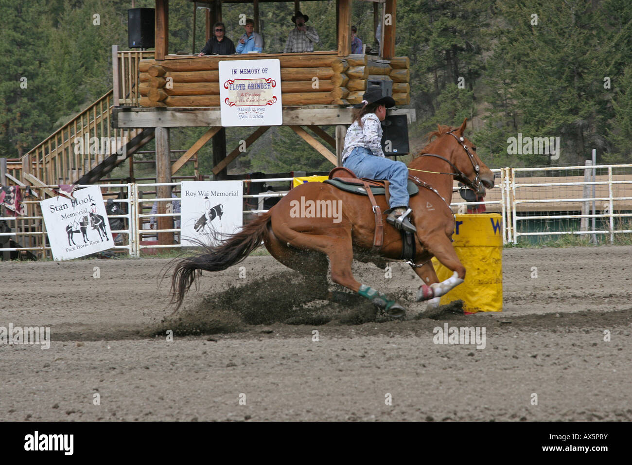 Barrel racing at a rodeo Stock Photo - Alamy