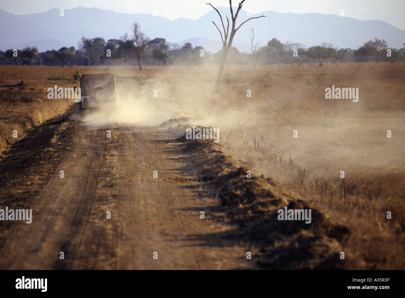 Mikumi, Tanzania. Four wheel drive Jeep leaving a cloud of dust on a ...