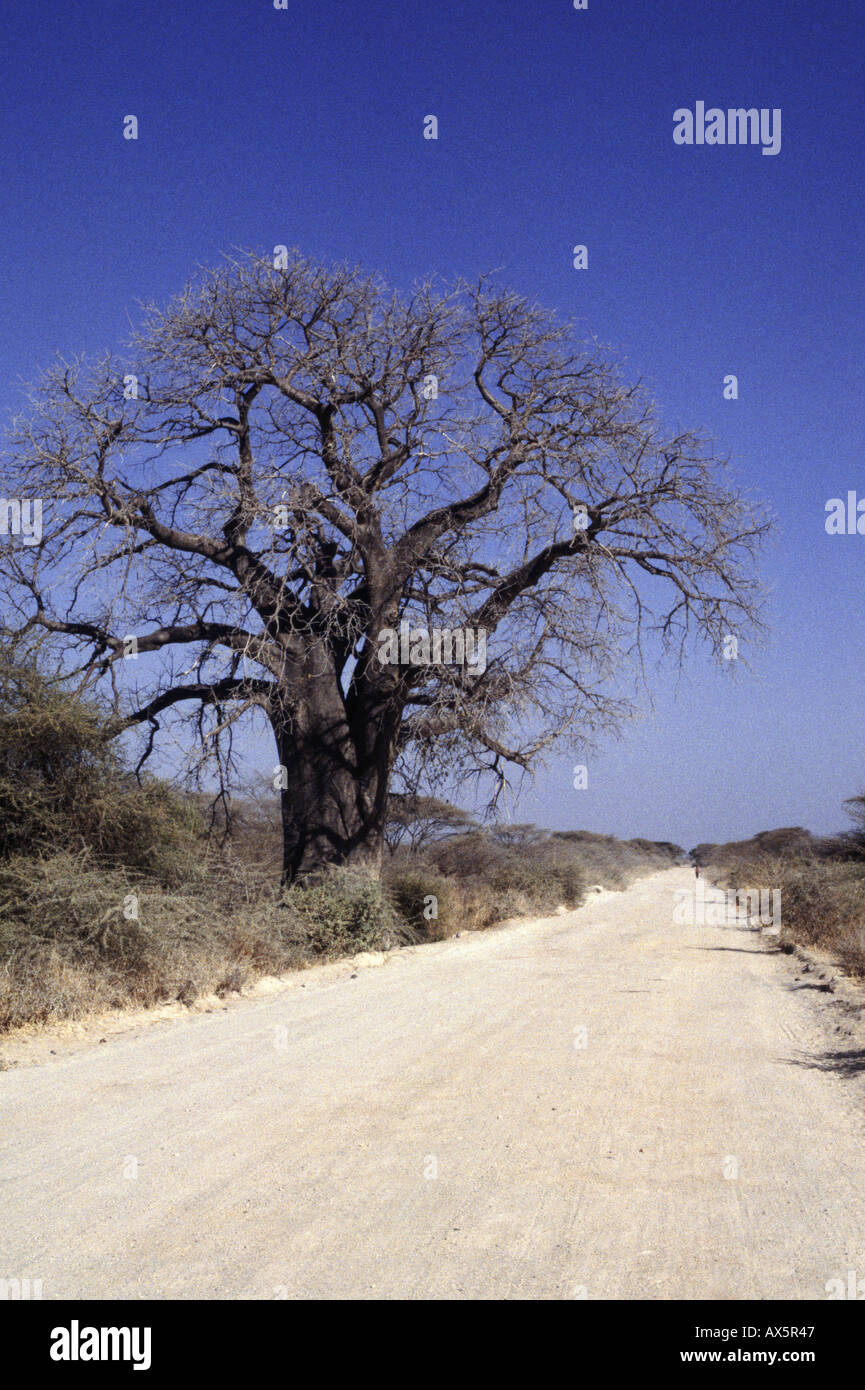 Unmetalled Road High Resolution Stock Photography and Images - Alamy