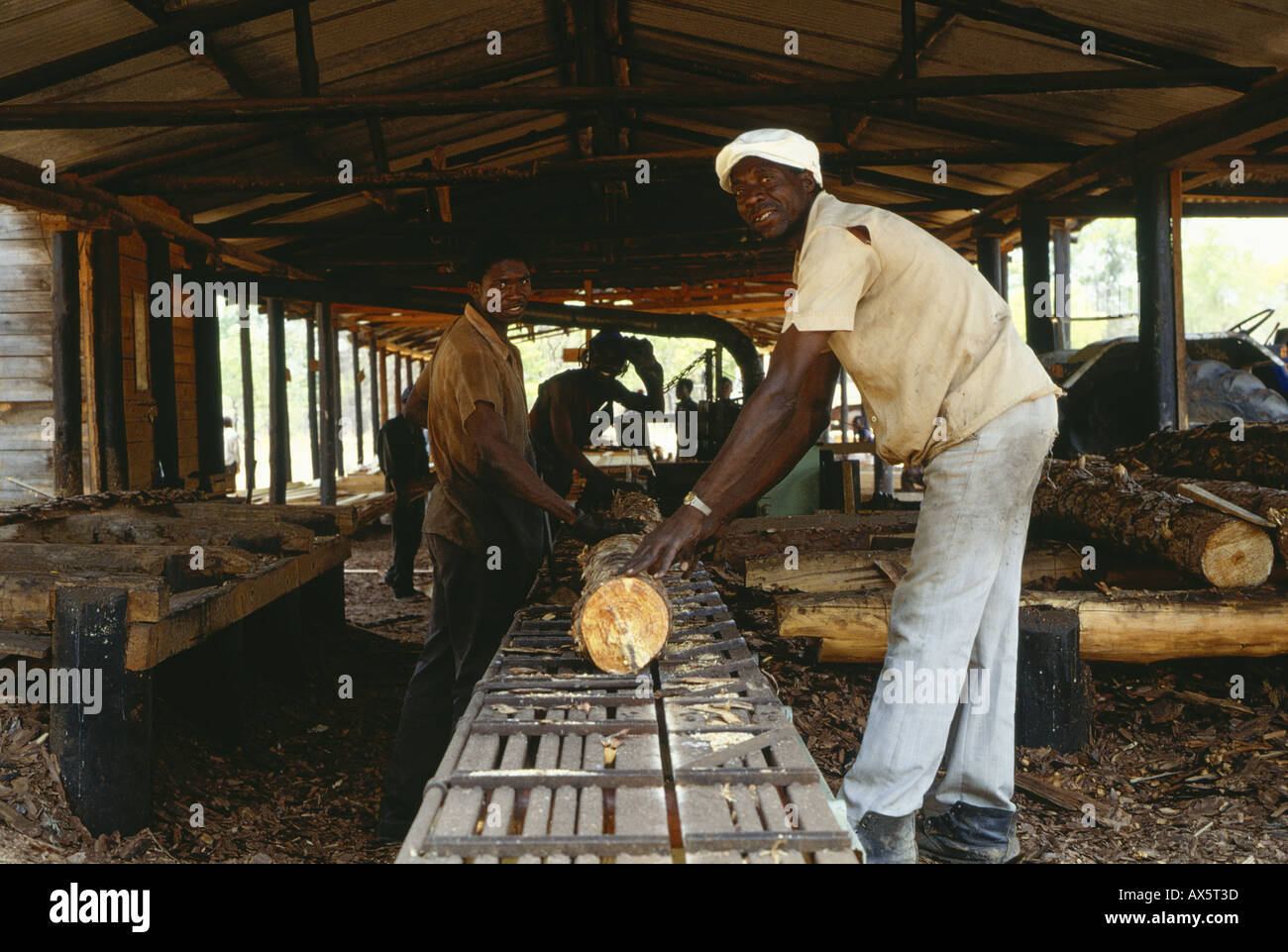 Forestry workers africa hi-res stock photography and images - Alamy