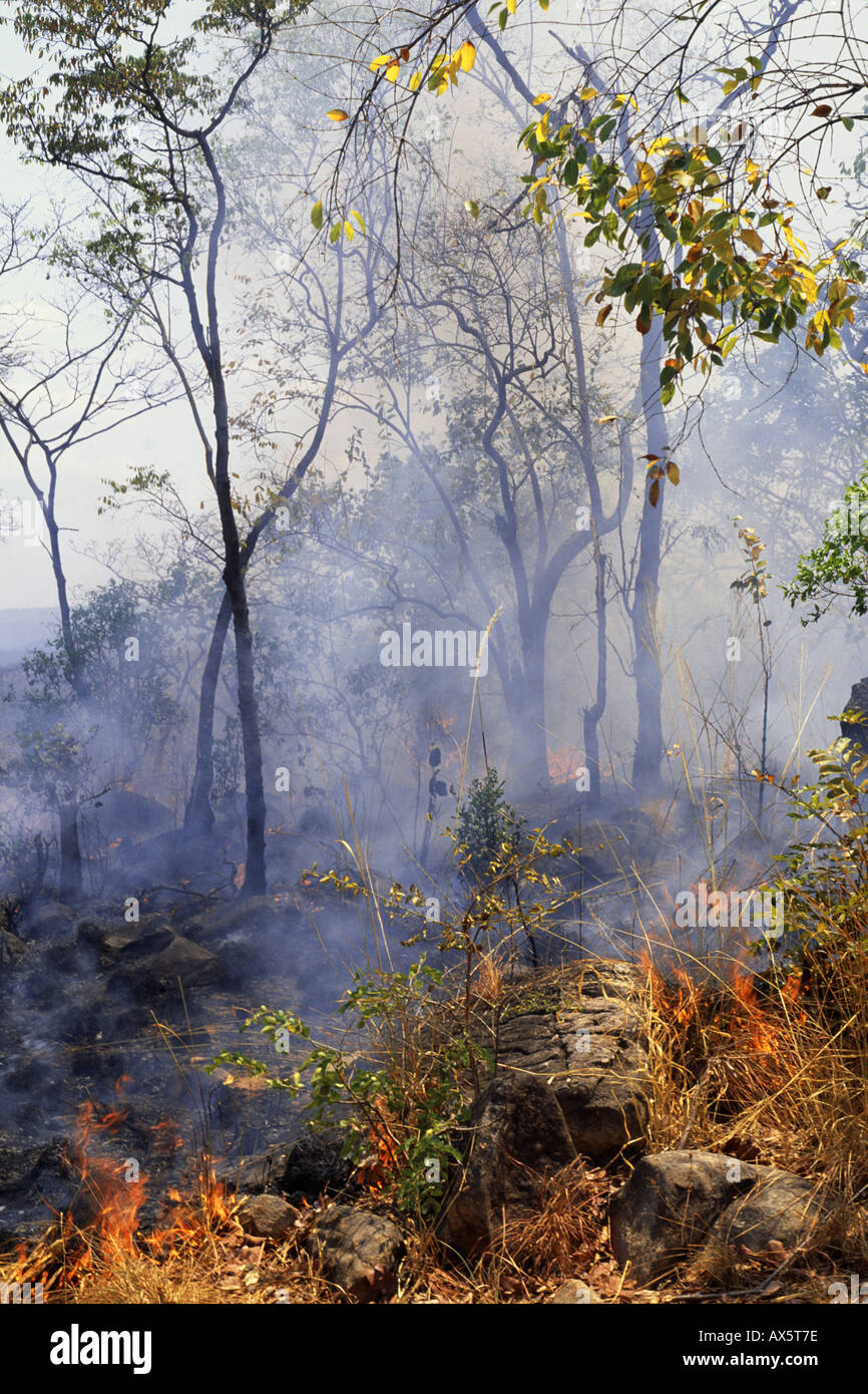 Kasanga, Tanzania. Burning vegetation in slash-and-burn agriculture ...