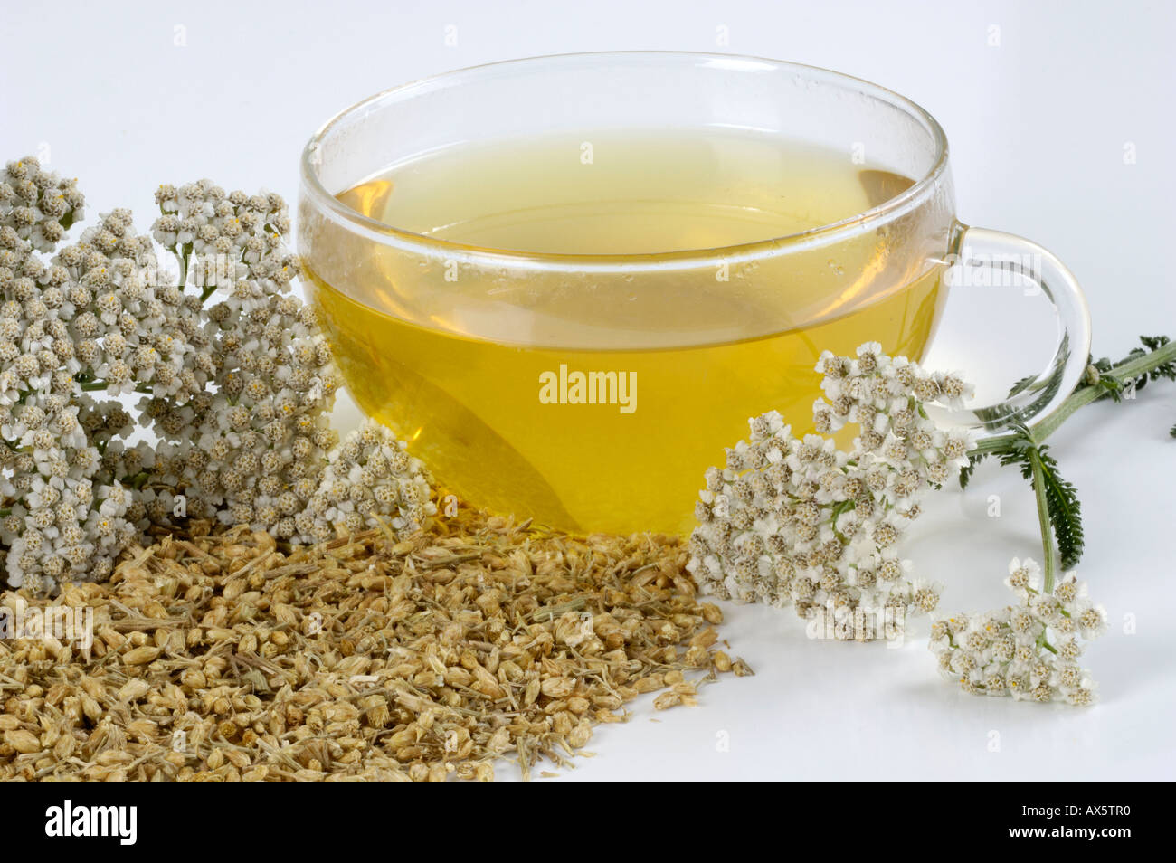 Tea yarrow hi-res stock photography and images - Alamy