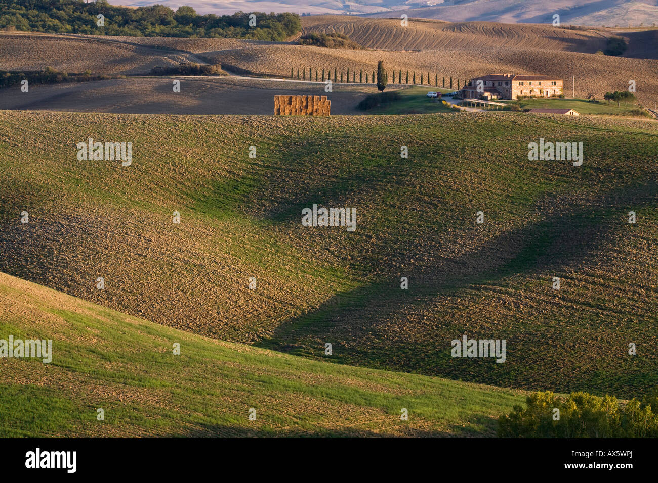 Typical farm, Crete, Tuscany, Italy, Europe Stock Photo - Alamy