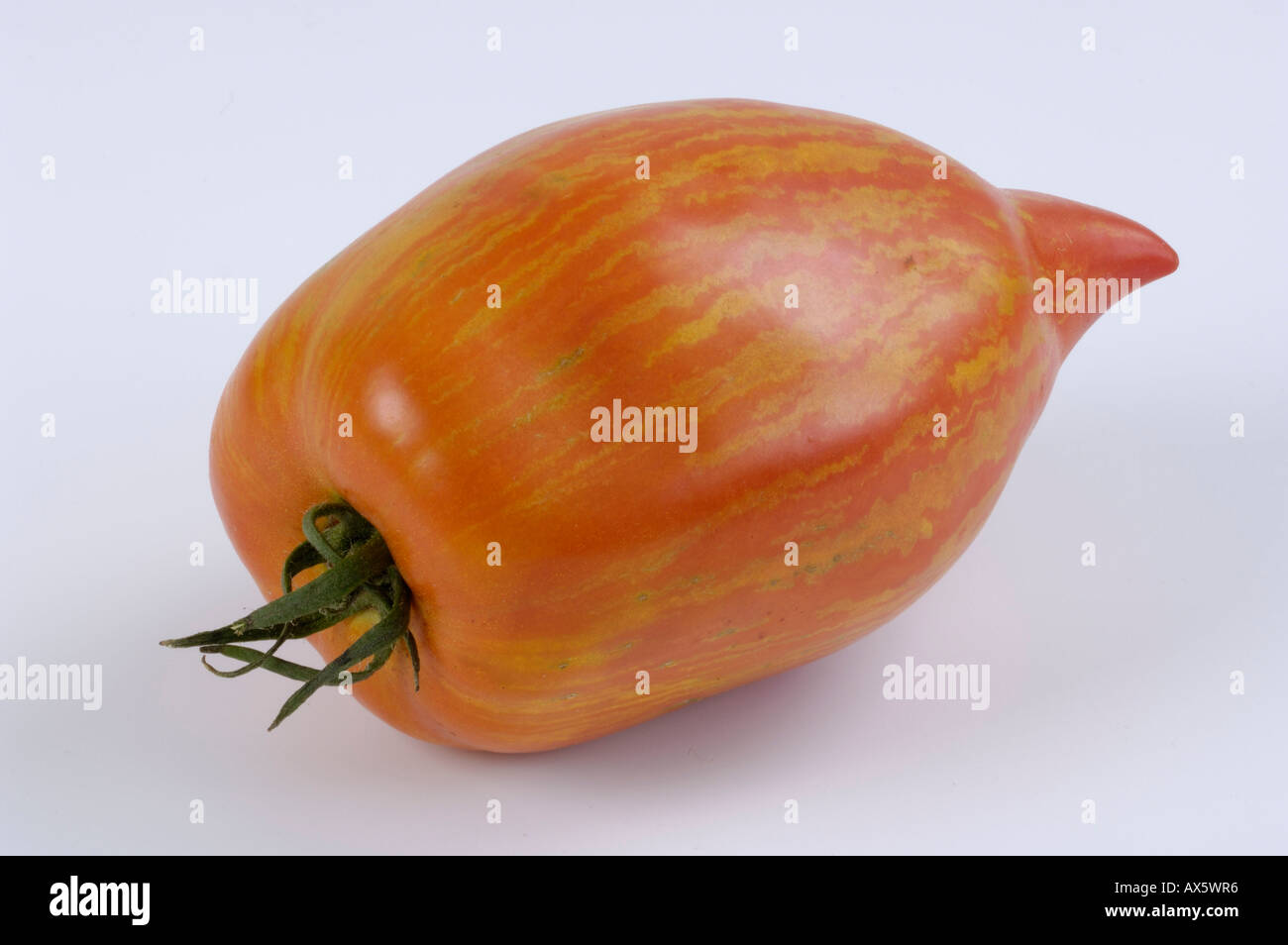 Striped roman tomato hi-res stock photography and images - Alamy