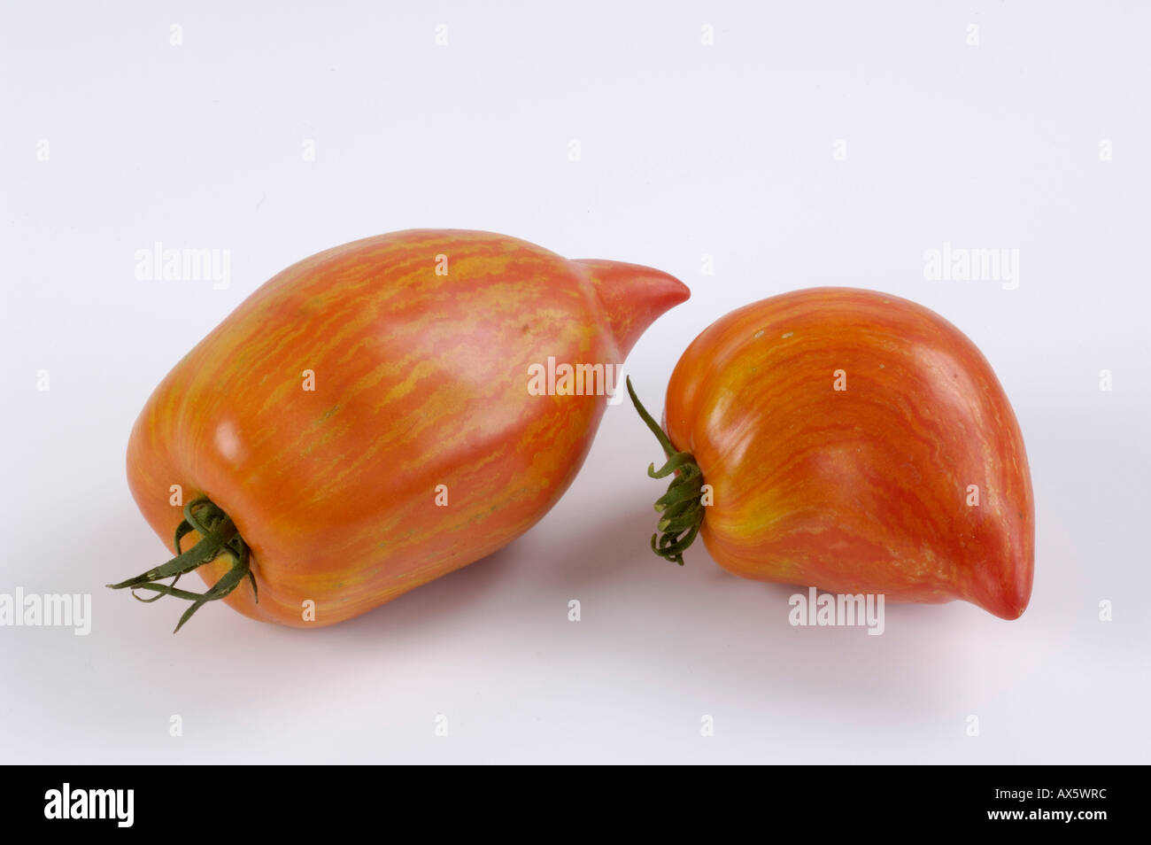Striped roman tomato hi-res stock photography and images - Alamy