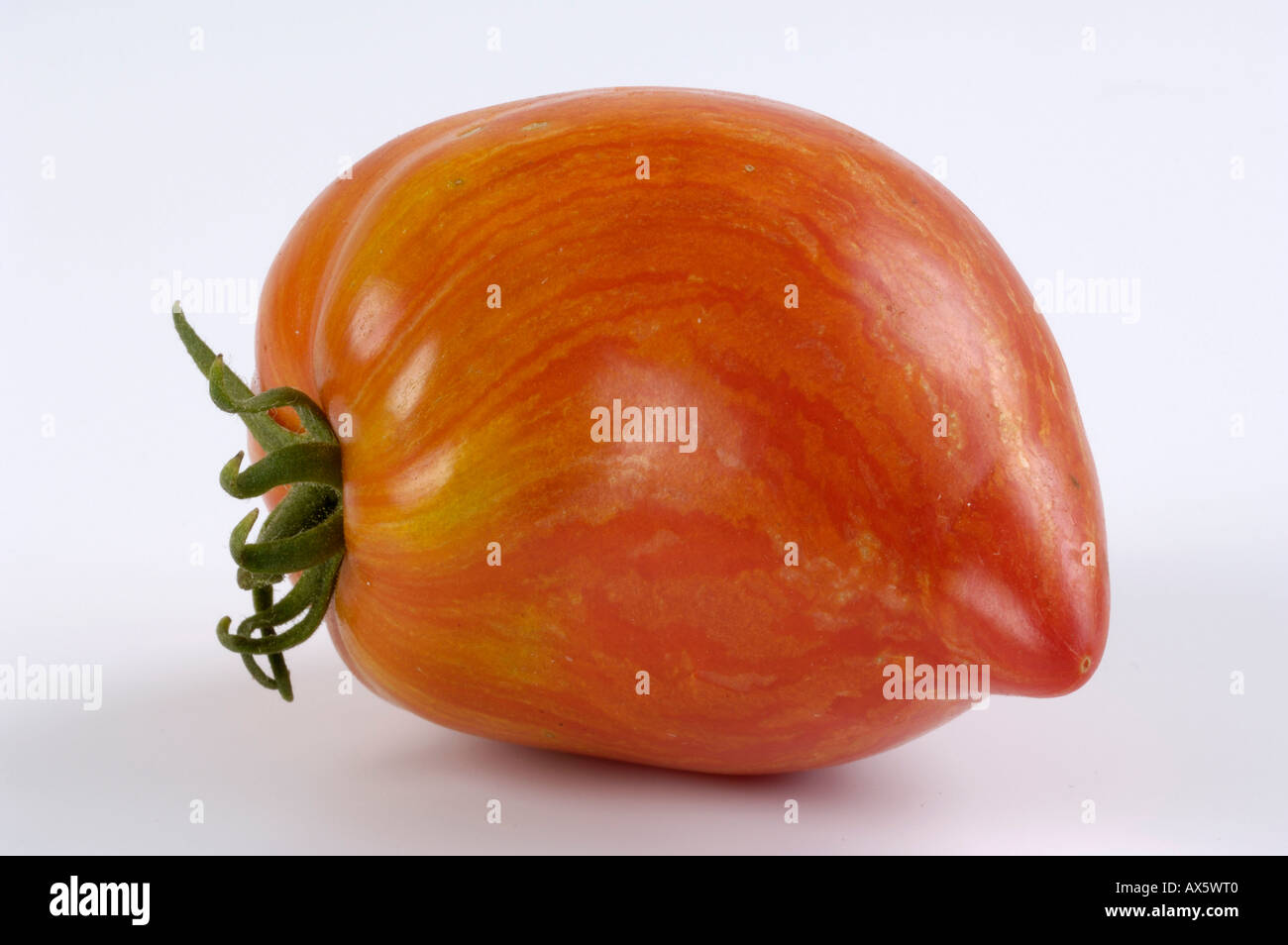 Striped roman tomato hi-res stock photography and images - Alamy