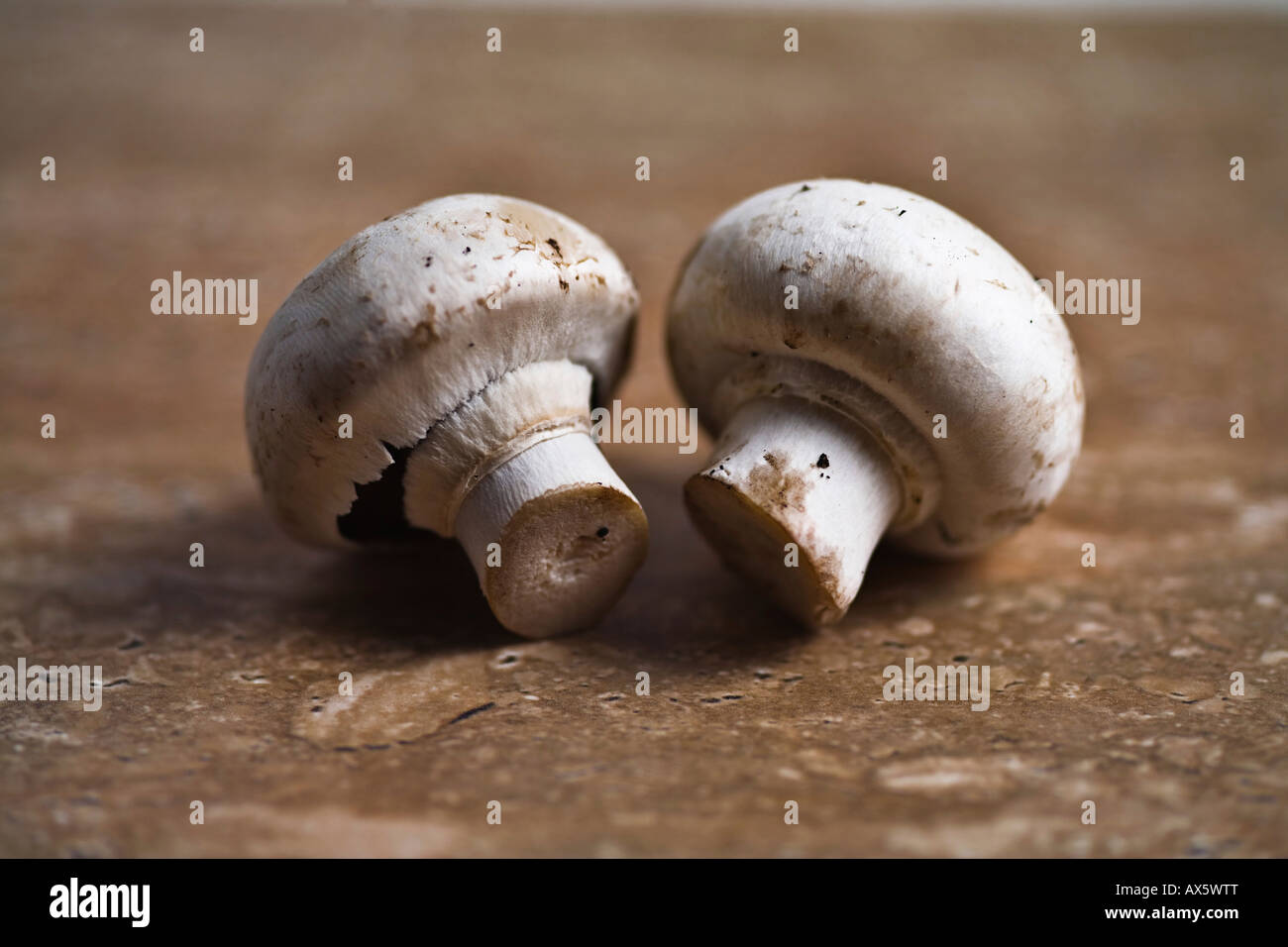 Button mushrooms hi-res stock photography and images - Alamy