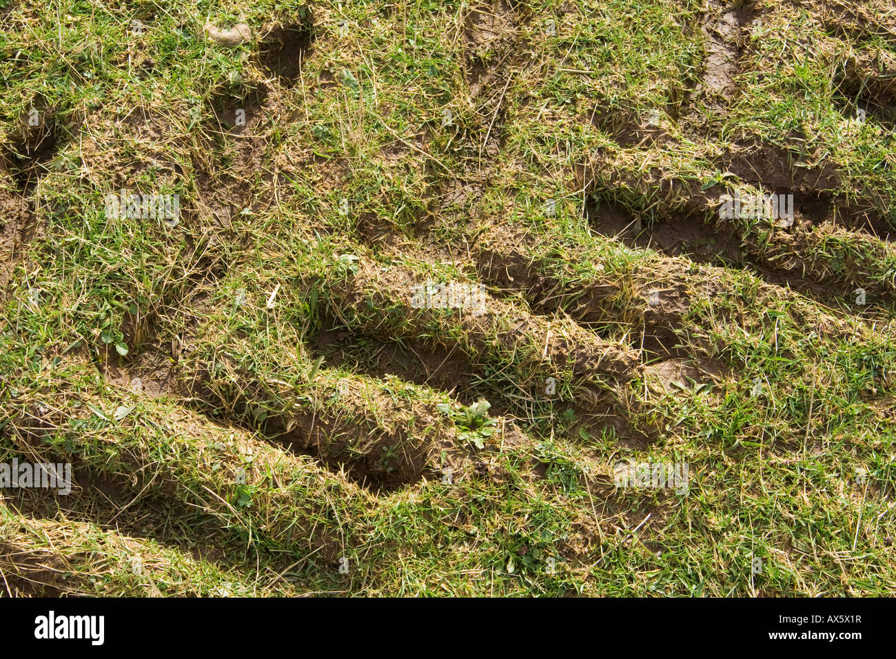 Tractor marks, UK Stock Photo - Alamy