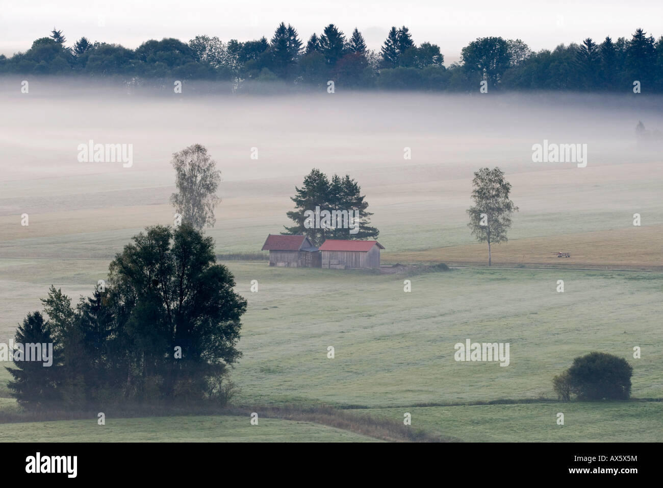 Cabin surrounded by fog, Bavarian pre-Alps, Upper Bavaria, Bavaria ...