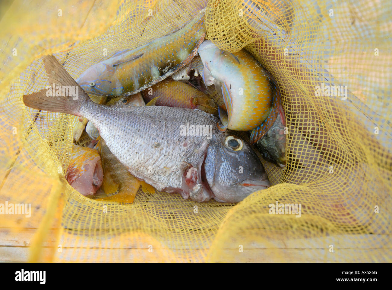 Insel von kuba hi-res stock photography and images - Alamy