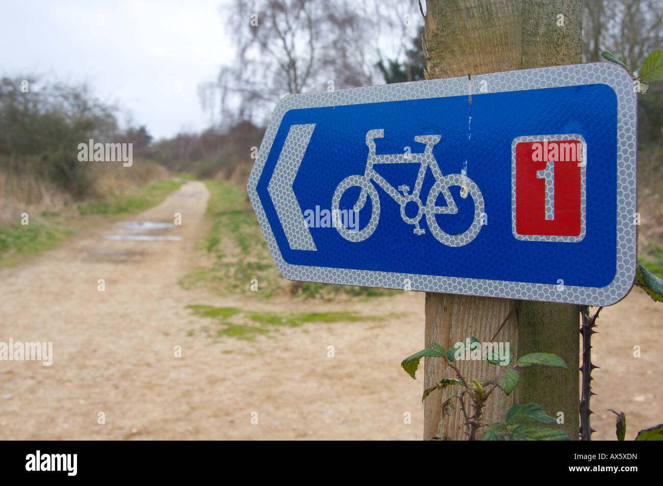 Bicycle Sign pointing to cycle path Stock Photo - Alamy