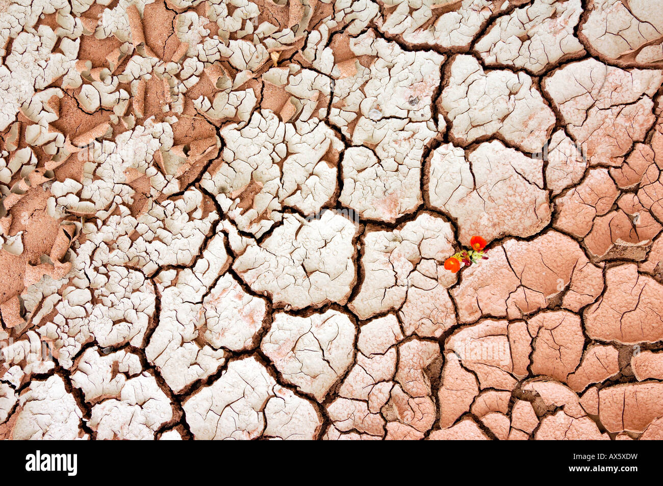 Dried Up Riverbed High Resolution Stock Photography and Images - Alamy