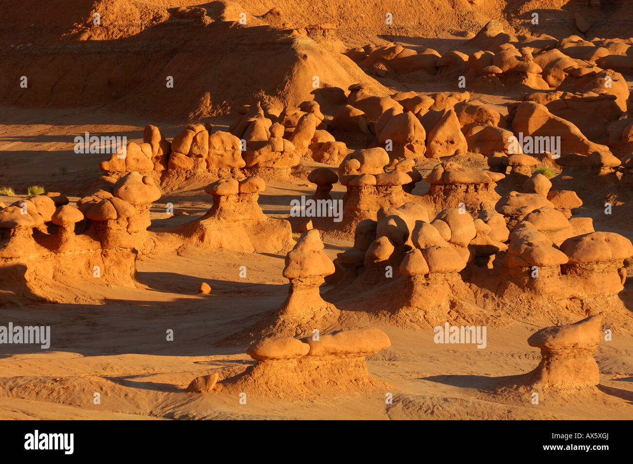 Sandstone formations, Goblin Valley State Park, Utah, USA Stock Photo ...
