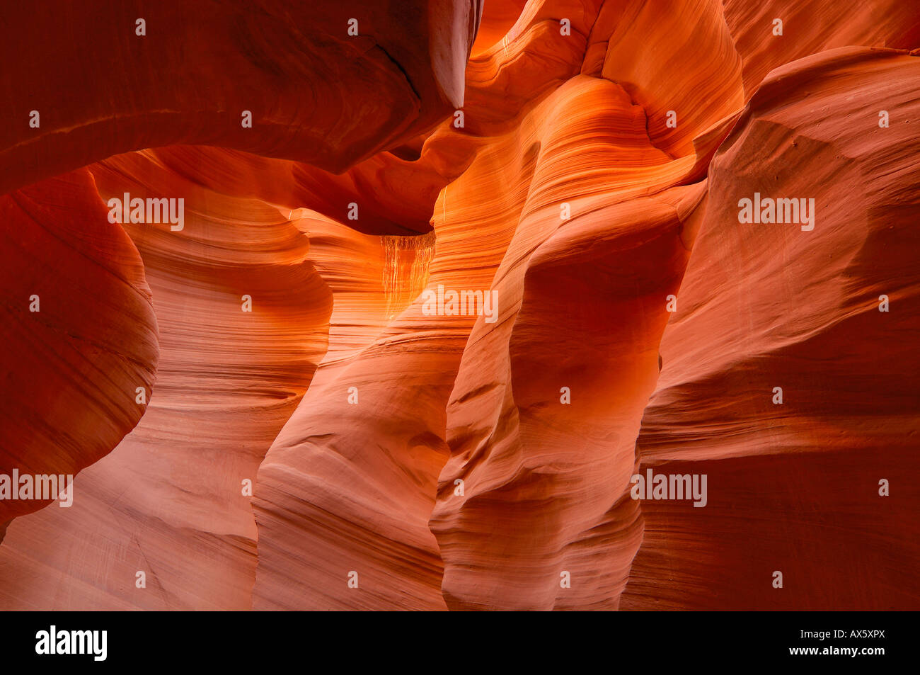 Sandstone formations, Lower Antelope Canyon, Slot Canyon, Arizona, USA ...