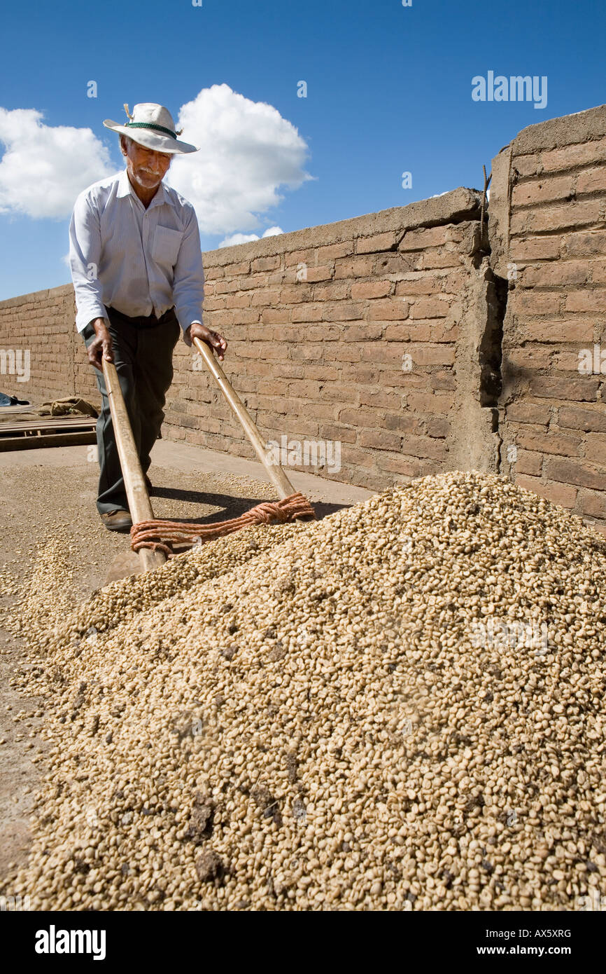 Drying patios at La Majada coffee cooperative El Salvador Stock Photo ...