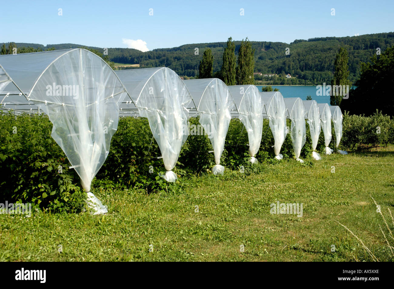 Protection against rain Stock Photo - Alamy