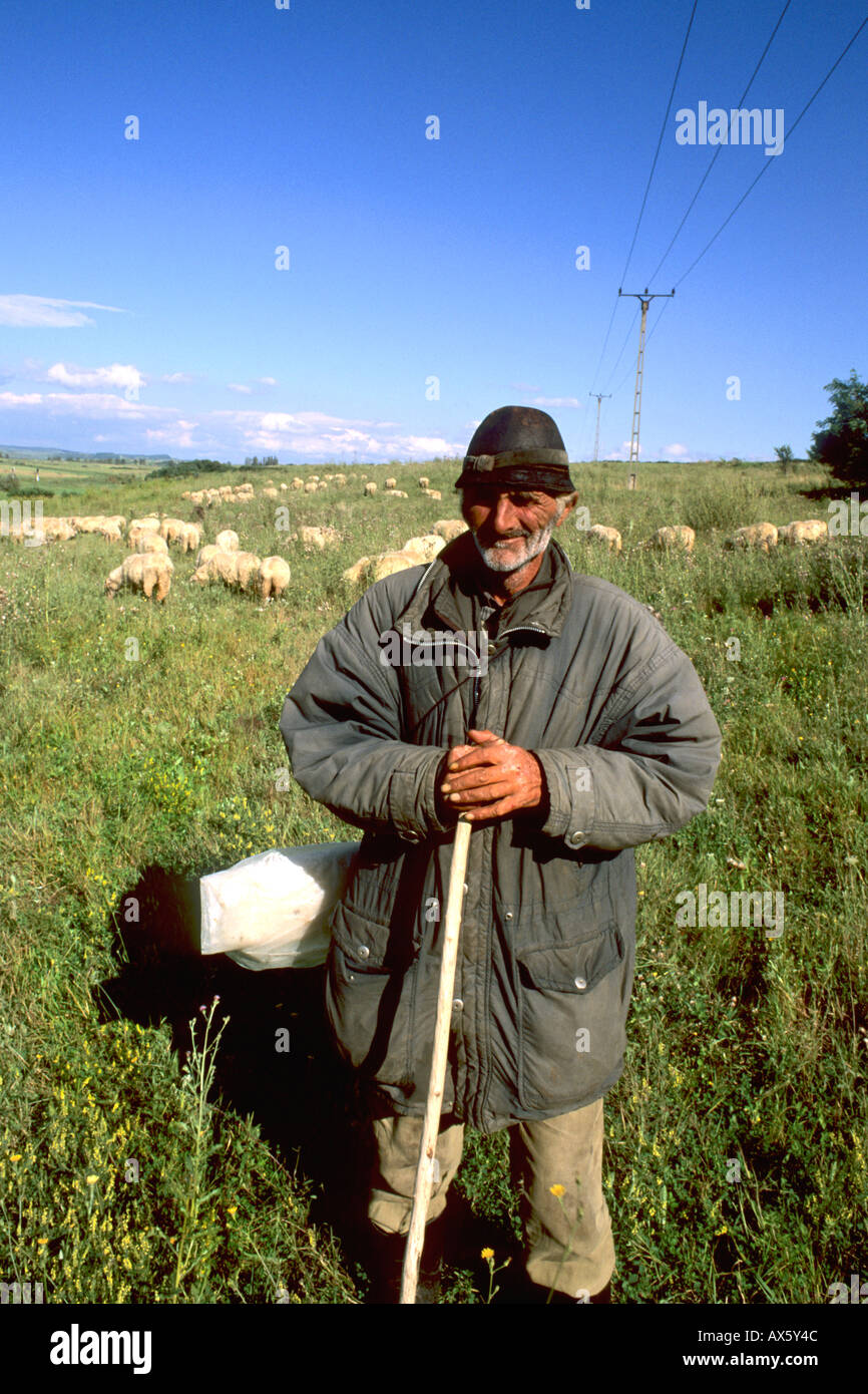 Croatia beautiful coast older sheep herder near Dubrovnik Croatia Stock ...
