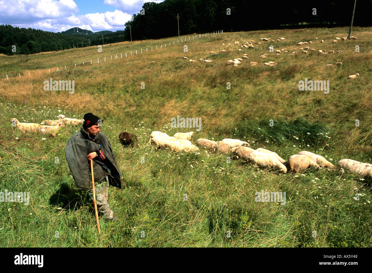 Bosnia and Hercegovina portrait of young sheep herder near Sarajevo ...