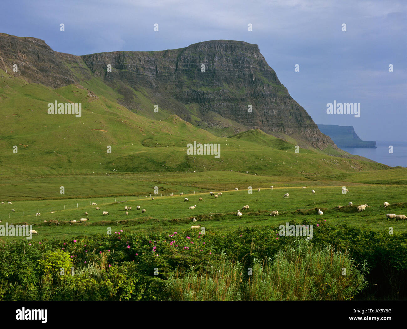 Waterstein Head, Neist Point, Isle of Skye, Scotland, UK, Europe Stock ...